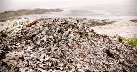 정부·업계·민간 통영에서 ‘수산부산물 재활용 방안 마련에 머리 맞댄다