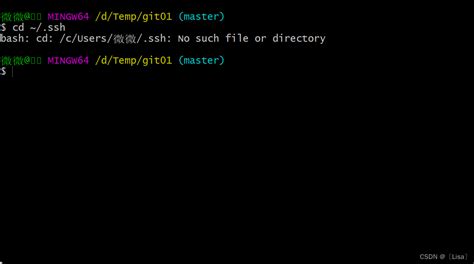【git】git中的gui介绍，使用andandgit中的ssh协议介绍，使用andand使用idea集成gitgit Gui Csdn博客
