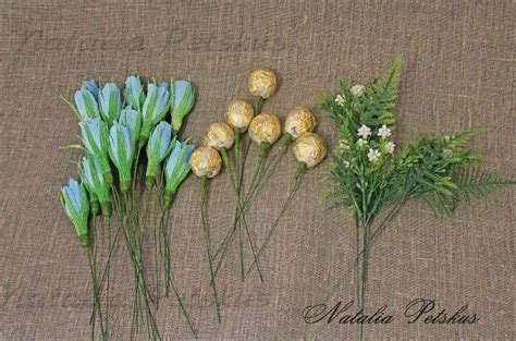 Фотография Cactus Plants Cactus Plants