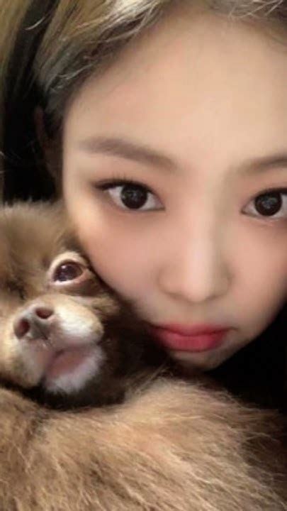 제니강아지사진노래music Youtube