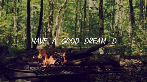 노곤 노곤 단 잠을 부르는 숲 속 장작 타는 소리10분 후 화면 꺼짐불면증 완화백색 소음firewood Burning Soundsrelax Sleepwhite