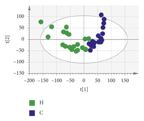 Group Fs Pca Score Plot Opls Da Score Plot And Permutation Test Plot