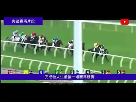 人道毀滅沙田馬場第九場賽事兩騎師先後墮馬意外馬匹被人道毀滅 各區突發事件報料 香港討論區 Discuss hk 香