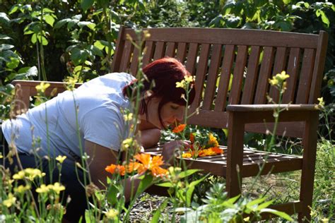 Five Ways To Protect Plants And Gardens In June Amateur Gardening