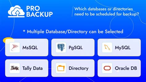 Bikiran On Linkedin Server Backup Mssql Postgresql Mysql