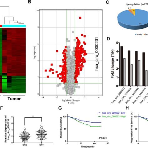 Clinicopathological Features For Circrna Microarray Download
