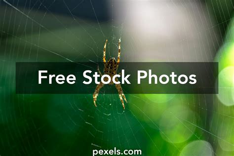 Trap Background Photos Download The Best Free Trap Background Stock