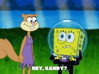 Spongebob Sandy Cheeks S Find And Share On Giphy