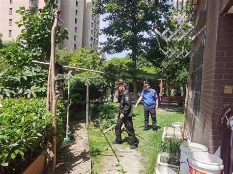 占绿种菜飞线充电酷暑之下彭浦镇开展系列整治行动 澎湃号政务 澎湃新闻 The Paper