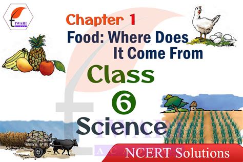 Class 6 Science Chapter 1 Question Answer Food Where Does It Come From