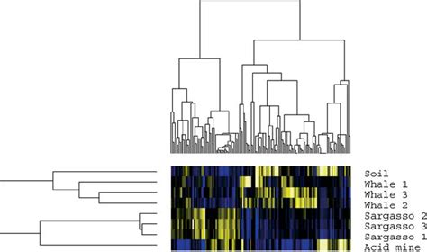 Blue Yellow Microarray Figure Applied To Kegg Vectors For Four
