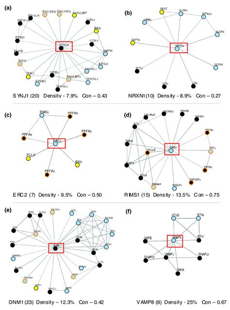 Presynaptic Proteins Participate In Interconnected Protein Protein