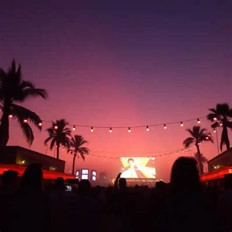 Navigating Influencer Marketing Platforms A No Nonsense Guide Howik