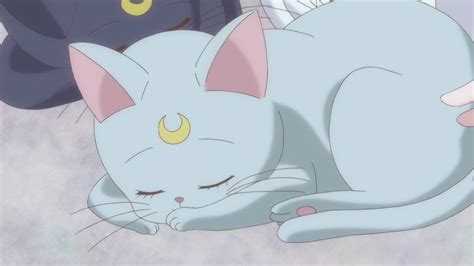 Sailor Moon Diana Wallpapers Wallpaper Cave