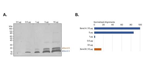 How Is Next Generation Protein Sequencing Democratizing Protein Sequencing Mens Health Fits