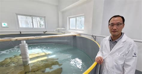 [新농수산 잇템]② 성장 속도 20 빠른 ‘킹넙치 ‘킹전복…우리 기술로 개량한 새 수산자원