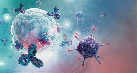 Probiotics Immunity Building Resilience Nutrition Care