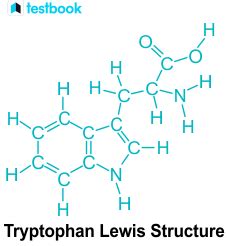 Tryptophan Know Its Definition Structure Function Source Use