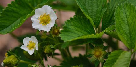 Hardware For A Syslog Ng Server Blog Syslog Ng Community Syslog Ng Community