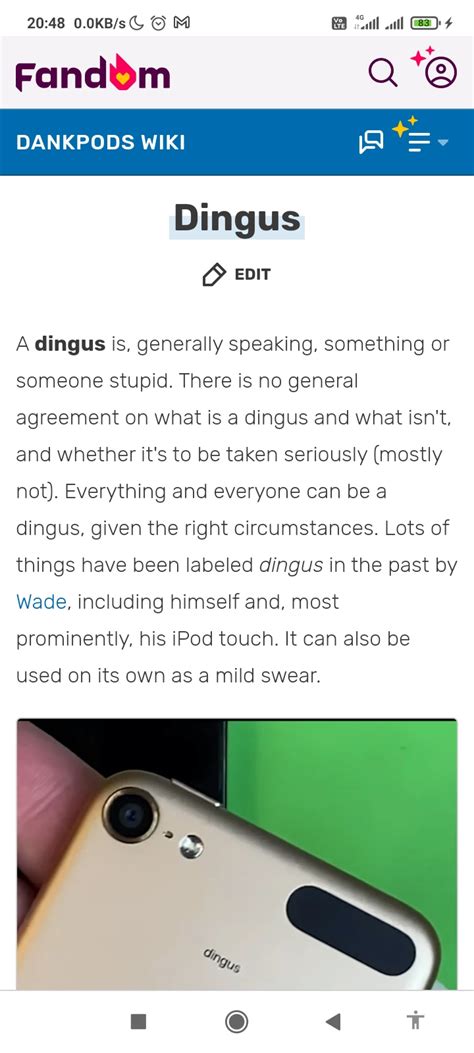 What Does Dingus Really Mean Rdankpods