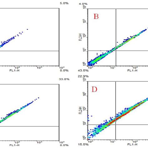Morphology Of AsPC 1 Cells Inverted Microscope 20 Magnification A Download Scientific