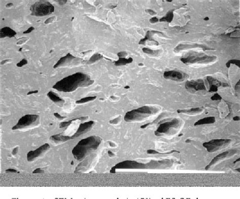 Figure 1 From Hybrid Composite Based On Poly Vinyl Alcohol And Fillers From Renewable Resources