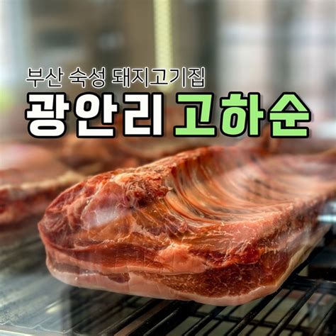 부산 광안리 고기집 고하순 숙성 돼지고기 맛집 네이버 블로그