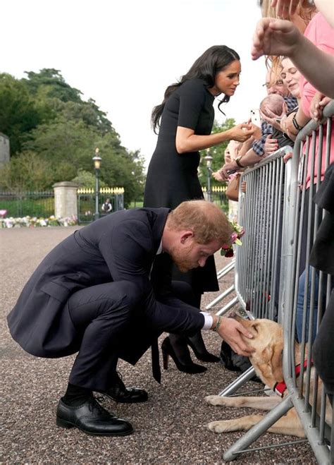 Murió La Reina Isabel Ii Meghan Markle Esposa Del Príncipe Harry Rompió El Protocolo Del