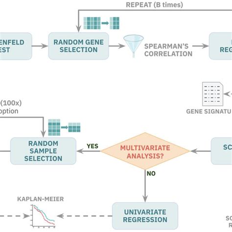 Reboot Pipeline Automatically Integrates Robust Statistical Tests