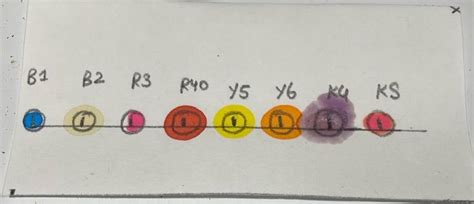 Exercise 1 Paper Chromatography 1 Enter The Results