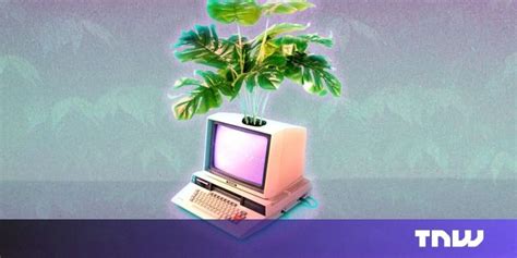 saeed zarinfam on linkedin why zig has become the highest paying programming language