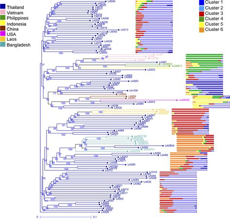 Genetic Diversity Proportion Of 112 Luffa Acutangula Accessions Based Download Scientific