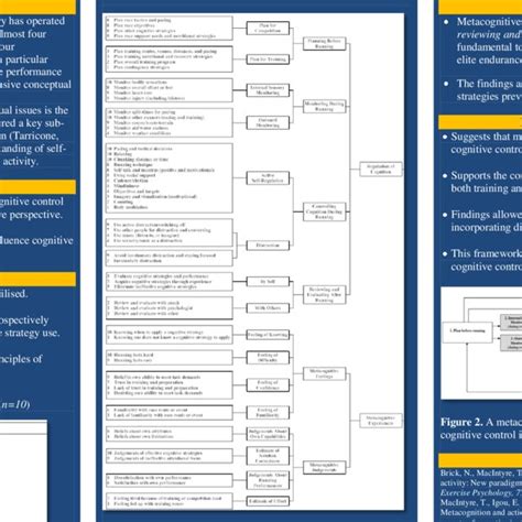 Cognitive And Metacognitive Processes In The Regulation Of Performance