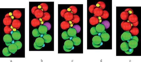 Propagation Of The Defect Along The Helical Strand Here We Show Two Download Scientific