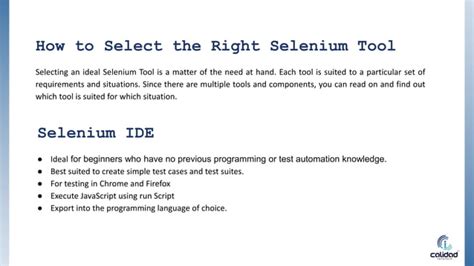 A Simple Guide To Selenium Software Testing PPT