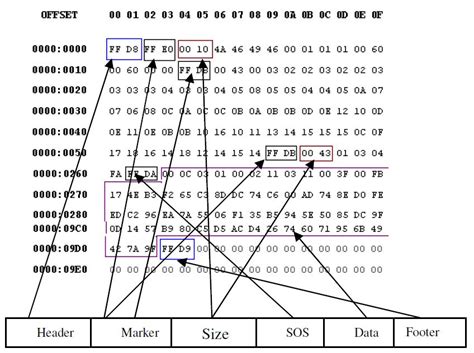 Data Carving Vs File Carving Vs Disk Carving Etyngej