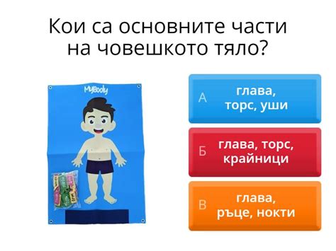 Човешкото тяло 2 клас родинознание Quiz