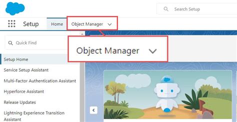Text Function In Salesforce