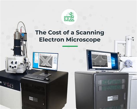 Scanning Electron Microscope Price In Pakistan At Bruce Lohr Blog