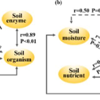 Correlation Analyses Among Soil Variable Group Distributions A Download Scientific Diagram