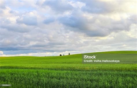 멋진 녹색 필드 언덕 나무와 시골에 구름과 푸른 하늘 봄 풍경 0명에 대한 스톡 사진 및 기타 이미지 0명 건강관리와 의술 계절 Istock