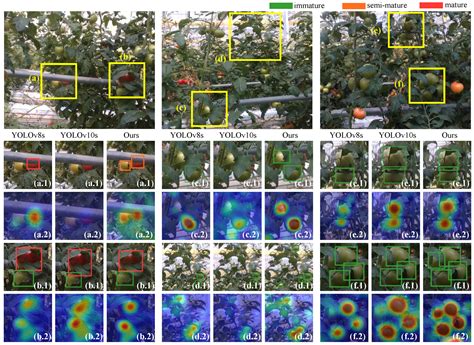 D3 Yolov10 Improved Yolov10 Based Lightweight Tomato Detection Algorithm Under Facility Scenario