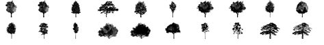 20 Free Tree Brushes Photoshop Brushes