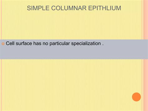 Eithelial Tissueconnective Tissue By Dr Jyoti Prakash Pani Associate
