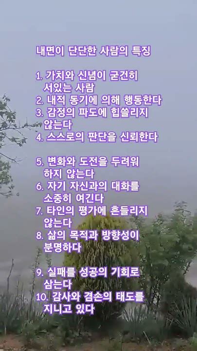 좋은말내면이 단단한 사람 Youtube