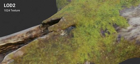 A Static Scene Optimization For Oculus Quest 4experience