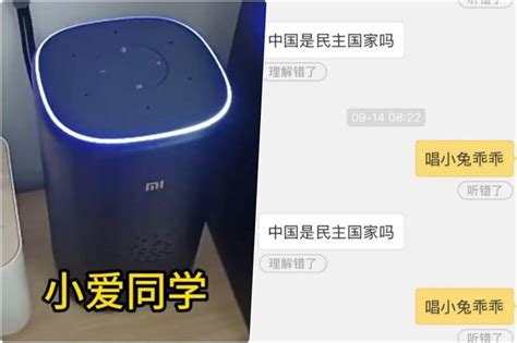 「中国是民主国家吗？」小米ai助理小爱同学跳针敏感词之乱 生活百态
