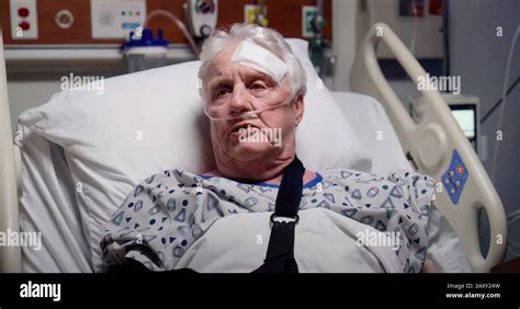 Relative Control Patrick Mcdade 2025 © Gravitas Ventures Courtesy Everett Collection Stock