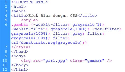 Merubah Warna Gambar Menjadi Grayscale Dengan Css