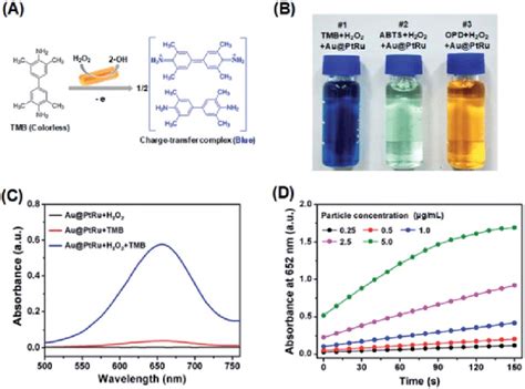 Peroxidase Like Activity Of The Auptru Nanorods A Scheme Showing Download Scientific